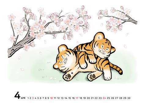 벗꽃나무 밑에서 장난치는 아기 호랑이 두마리 이미지 일러스트 유토이미지 상세페이지 베이직샵 일러스트 21815945