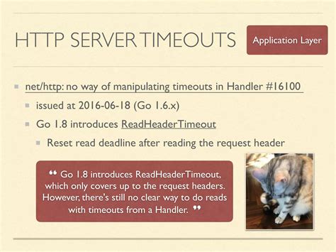 Go 18 Net Timeouts Ppt