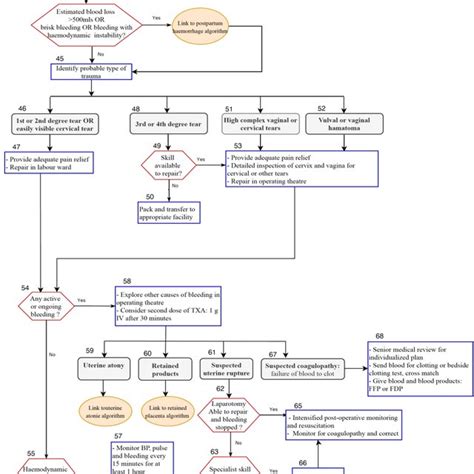Algorithm 3 Genital Tract Trauma Download Scientific Diagram