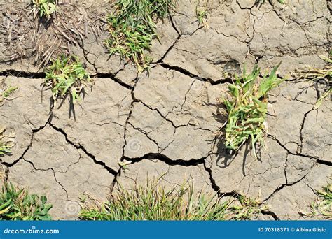 Environmental Awareness Ecology Concept Global Warming Dry Earth And And Green Grass Stock