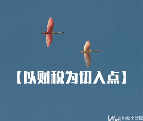 2020北京企业可享受税收优惠政策，两点即可解决税负压力 哔哩哔哩