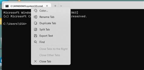 Windows 11 Cmd Shell Just Got Really Weird Microsoft Qanda