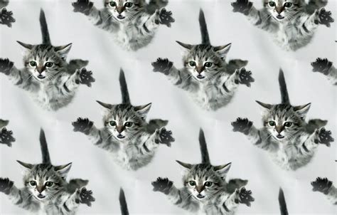 Обои прыжок малыш полёт котёнок на телефон и рабочий стол раздел текстуры разрешение