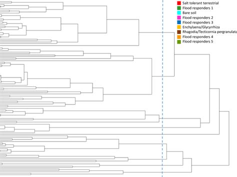 Dendrogram Showing Clustering Of Vegetation Survey Sites Using Download Scientific Diagram