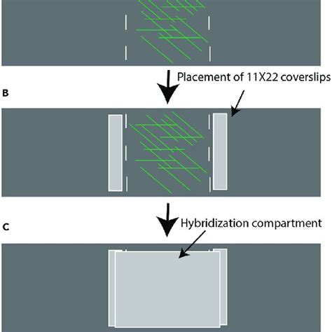 Assembly Of The Hybridization Compartment A Add Hybridization Buffer