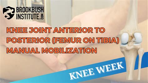 Knee Joint Anterior To Posterior Mobilization Youtube