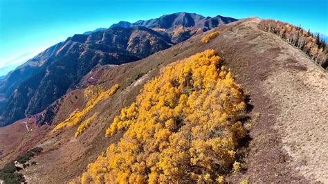 Mining Doc On Linkedin Mining Miningindustry Openpit