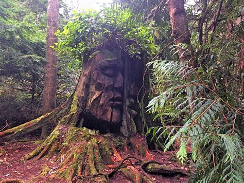 Spiritual Ecology The Lost History And Return Of Animism