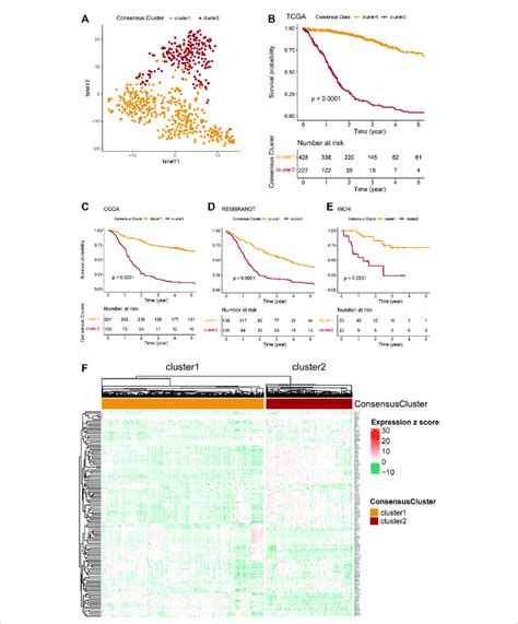 Consensus Clustering Of Gliomas Based On Pumgs Expression A Pumg