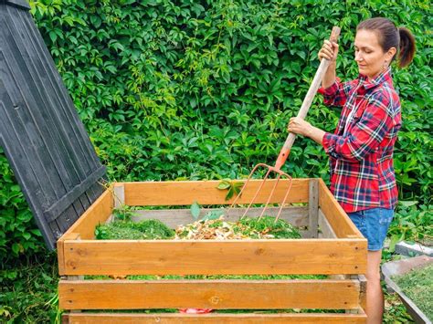The Science Of Composting What Happens During Decomposition
