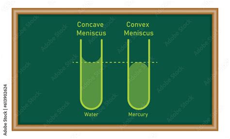 Adhesion And Cohesion Of Water Concave And Convex Meniscus Physics Resources For Teachers And