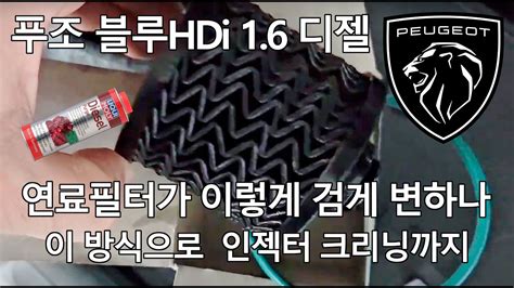 푸조 블루hdi 16 디젤 연료필터 교체 이 방법으로 인젝터 크리닝까지 참고사항 설명에 푸조 308 508 2008 3008 5008 Youtube