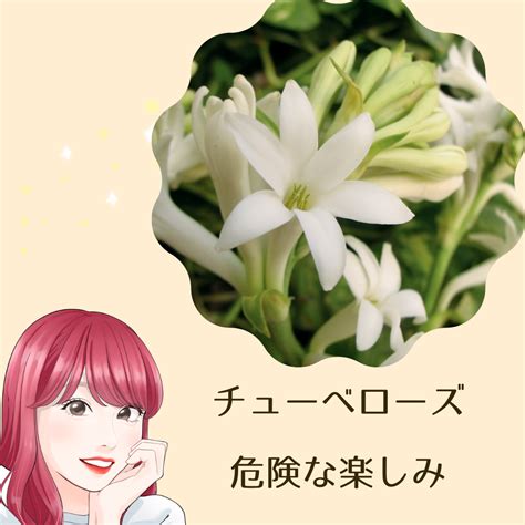 9月17日の花 Bloems