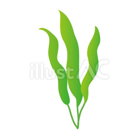 水草5イラスト No 244019／無料イラストなら「イラストac」