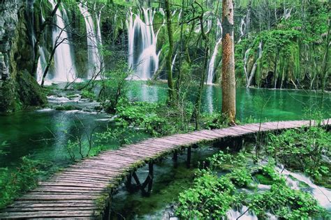 Back To The Roots 5 национальных парков Европы 34travel Me