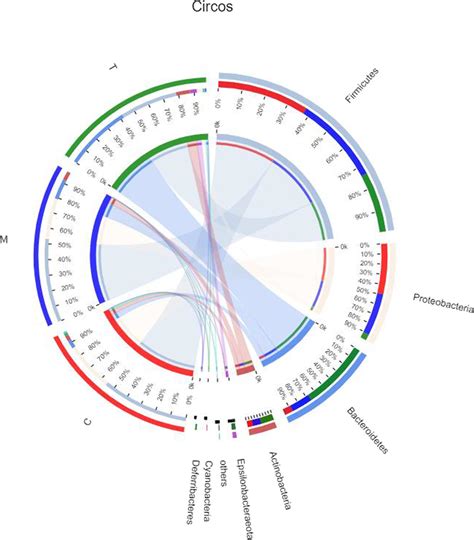 Circos Diagram In The Circos Sample And Species Diagram The Large Download Scientific Diagram