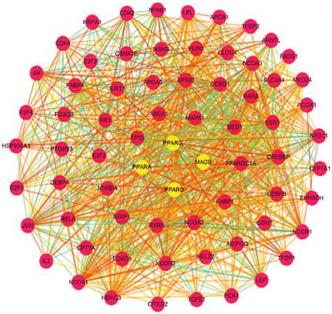 Drug Target Interaction Network Of Pioglitazone Direct Target