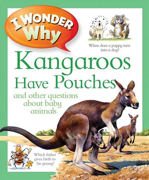 Kangaroos Have Pouches I Wonder Why Inglés Divertido
