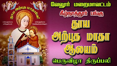 Live 28 07 2024 வேலூர் மறைமாவட்டம் கீழ்நாத்தூர் தூய அற்புத மாதா ஆலயம் பெருவிழா திருப்பலி