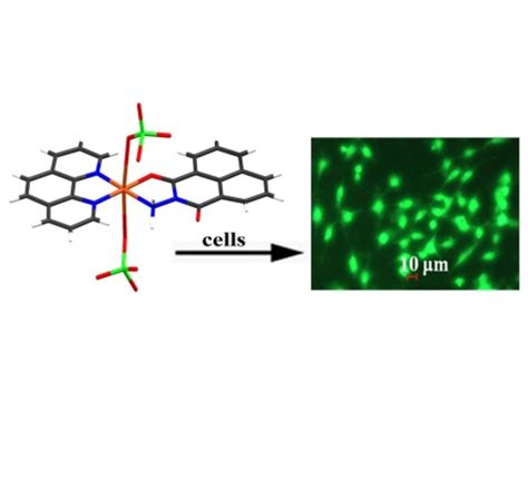 Chemistryselect Vol 6 No 45 Chemistry Europe