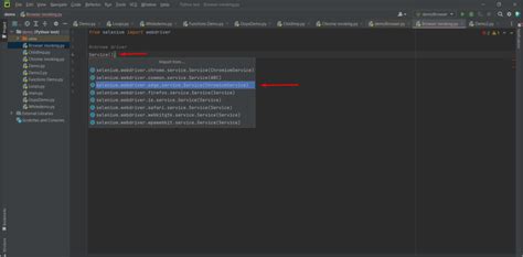 Selenium Python Invoke Chrome Browser And Load Site To Automate