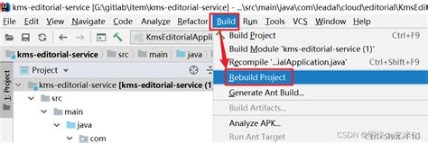 Idea运行项目出现 Module Was Compiled With An Incompatible Version Of Kotlin的解决方案idea中出现model Was