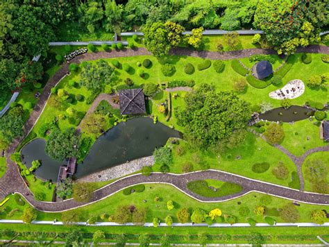 Tree Condition And Risk Assessment Assured Trees