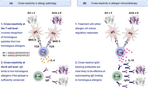 Local Anesthetic Allergy Cross Reactivity At Gerard Martin Blog
