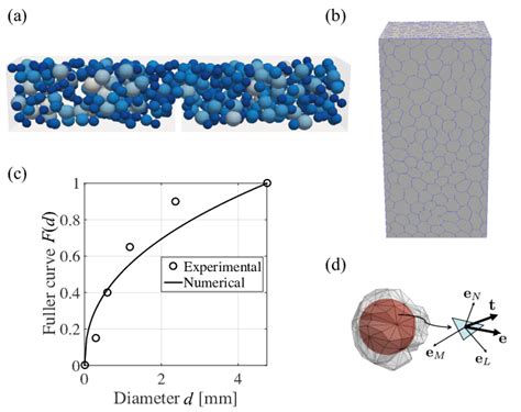 Lattice Discrete Particle Model A Randomly Distributed Spherical Download Scientific Diagram