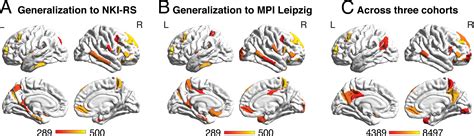 Deep Learning Models Reveal Replicable Generalizable And Behaviorally