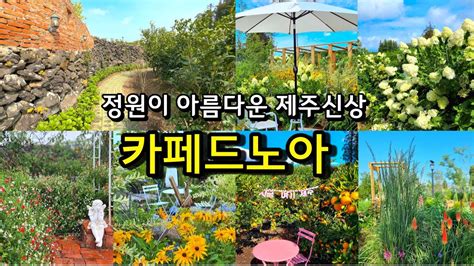 정원이 아름다운 제주도신상카페 카페드노아 서귀포카페추천 제주카페추천 감귤체험카페 아이동반 Youtube