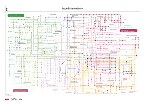 Metabolomics Analysis In Ipath Download Scientific Diagram