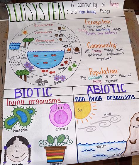 Introduction To Ecosystem Anchor Chart For Elementary Middle And High School Artofit