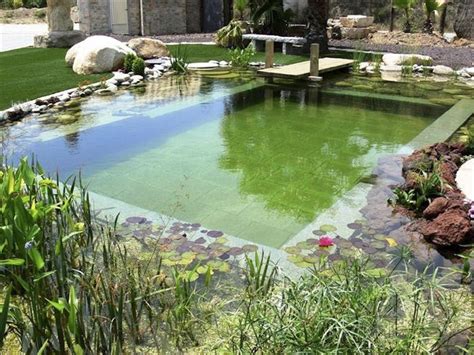 Diy Natural Swimming Pool Kit At Levi Rounsevell Blog