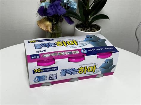 습기제거는 국민제습제 물먹는하마 No1 네이버 블로그