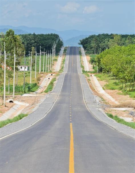 Premium Photo Empty Road Along Trees And Plants