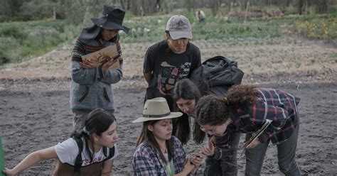 ¿qué Se Necesita Para Salvar A Los Ajolotes Infobae