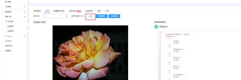 图像分类—resnest理论与实践