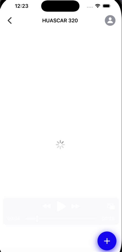 Ios Wkwebviewuiviewrepresentable Hide Loading Text While