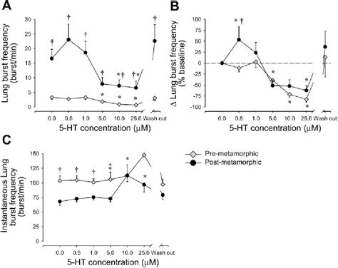 Figure 1 From Serotonergic Modulation Of Respiratory Motor Output During Tadpole Development
