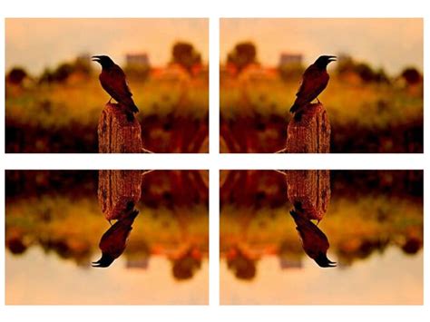 Manipulating Images In PHP Using GD Envato Tuts