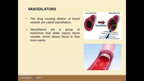 Vasodilators Drugs List At Stephanie Fleming Blog