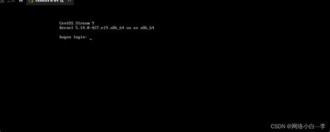 linux系统安装 centos 8 64位 linux8系统安装 csdn博客