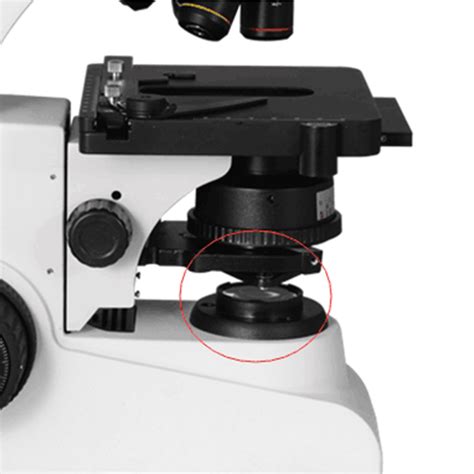 Simple Rotating Polarizer And Analyzer Kit For Compound Microscopes