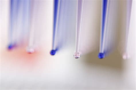 Mouse Multipotent Progenitor 5 Cells Are Located At The Interphase