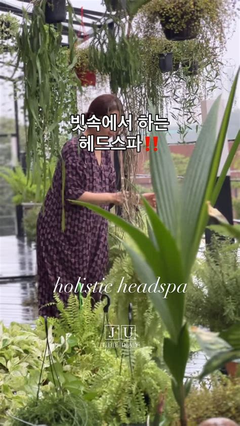 하이엔드 헤드스파 원조 유수연대표 제이유더데이 ⭐️얼굴이 작아지는 헤드스파⭐️ 얼굴이 쳐져서 고민 이신가요~ 이마에 주름이 신경 쓰이고 날렵했던 턱선이 점점