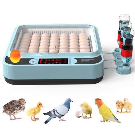 64 Egg Incubator With Humidity Display Incubators For Hatching Eggs Desertcart Bahamas