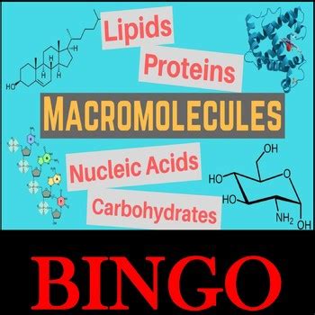 Organic Compounds Carbohydrates Proteins Lipids And Nucleic Acids