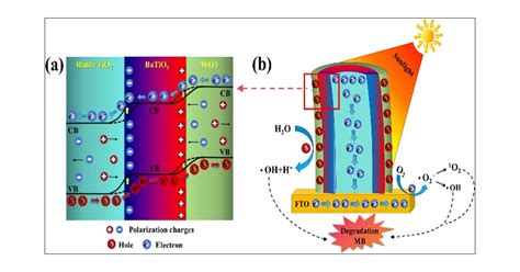 Multilayer Coaxial Tio2 Batio3 Wo3 Nanorod Arrays With Enhanced Photoelectrochemical Properties