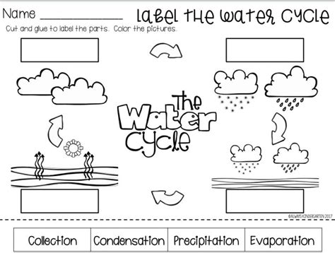 Water Cycle Review Worksheet Worksheets Library